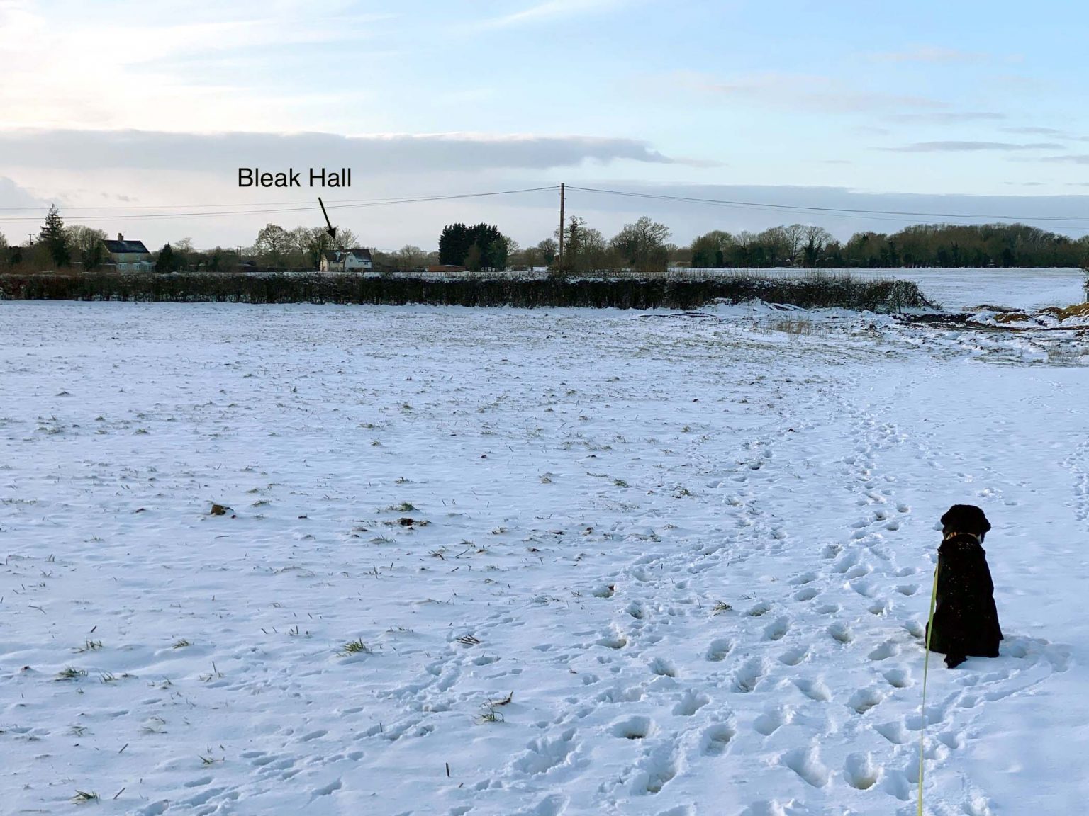 Photos of Flowton & Somersham & Nettlestead in the Snow – CARE Suffolk